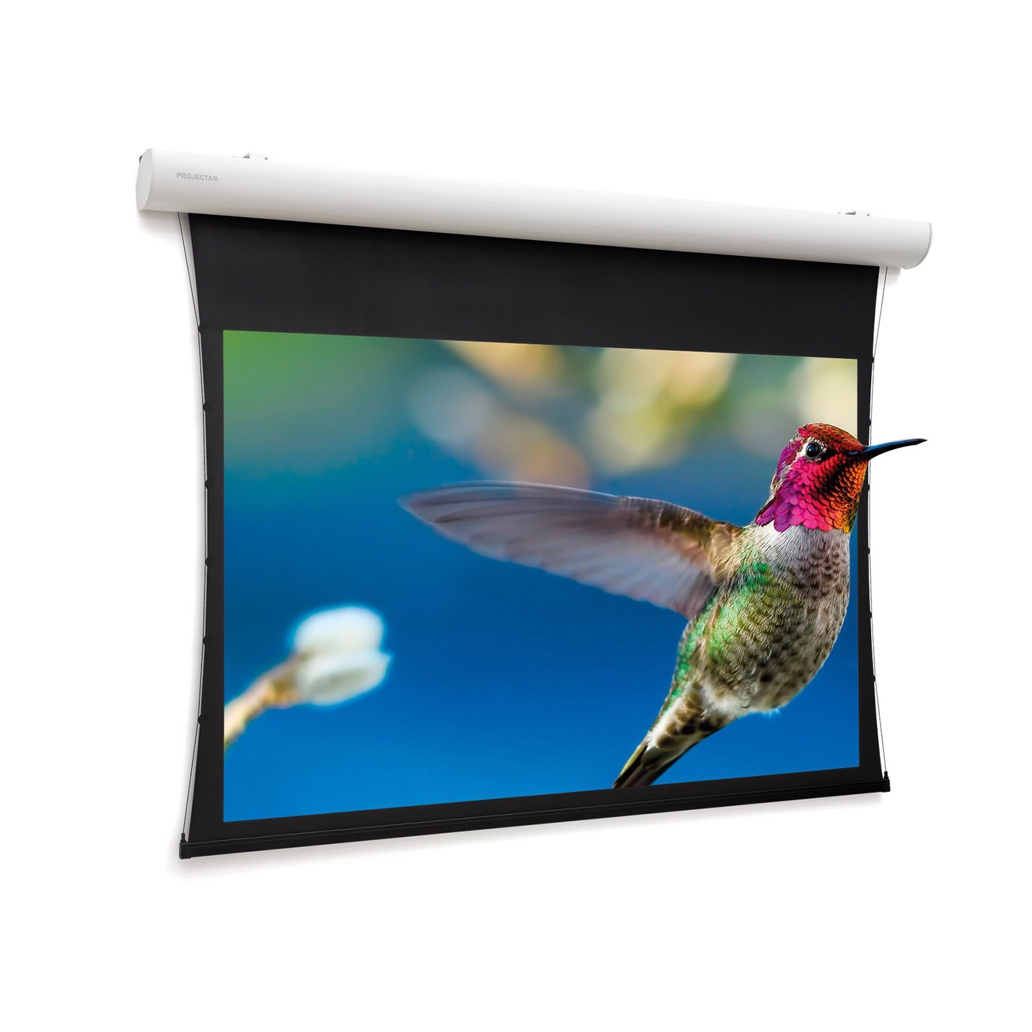 Gespannte Leinwände zu spannenden Preisen! - Kindermann GmbH